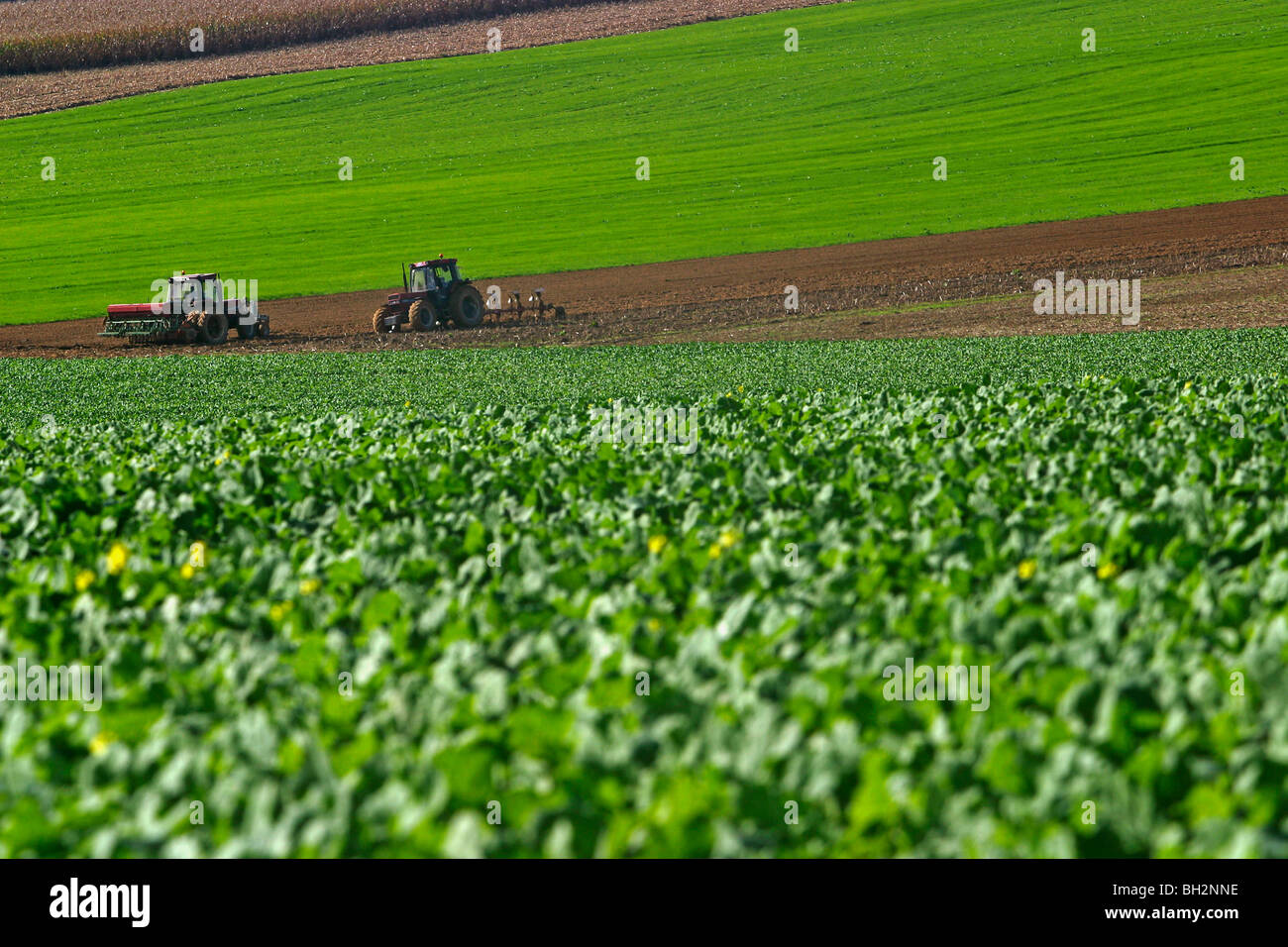 Normandie bocage hi-res stock photography and images - Alamy