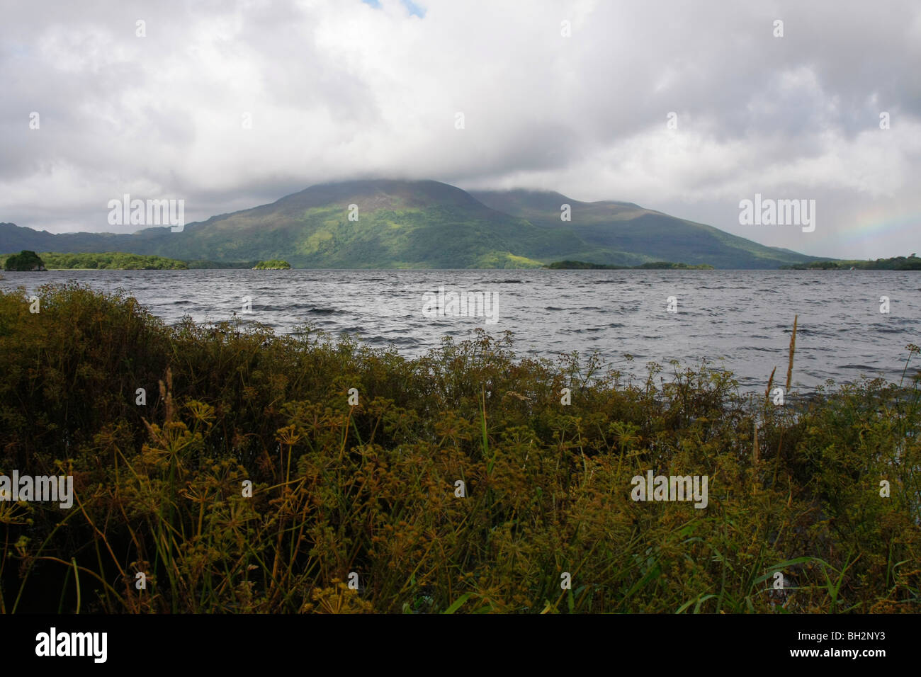 Leane hi-res stock photography and images - Alamy