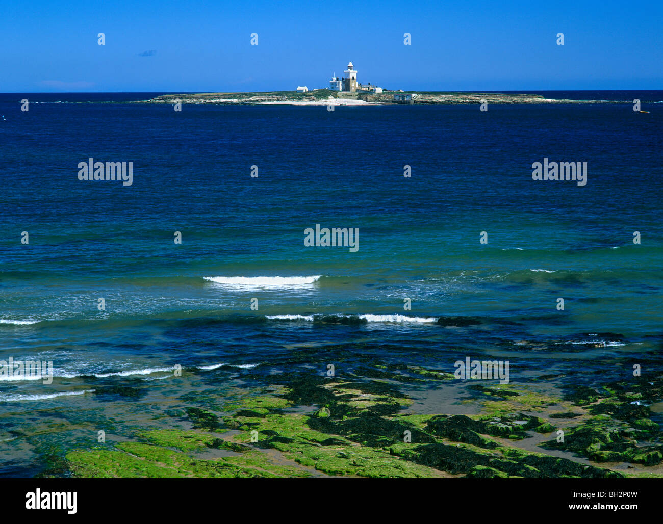 A view of Coquet Island off the Northumberland Coast near Amble ...