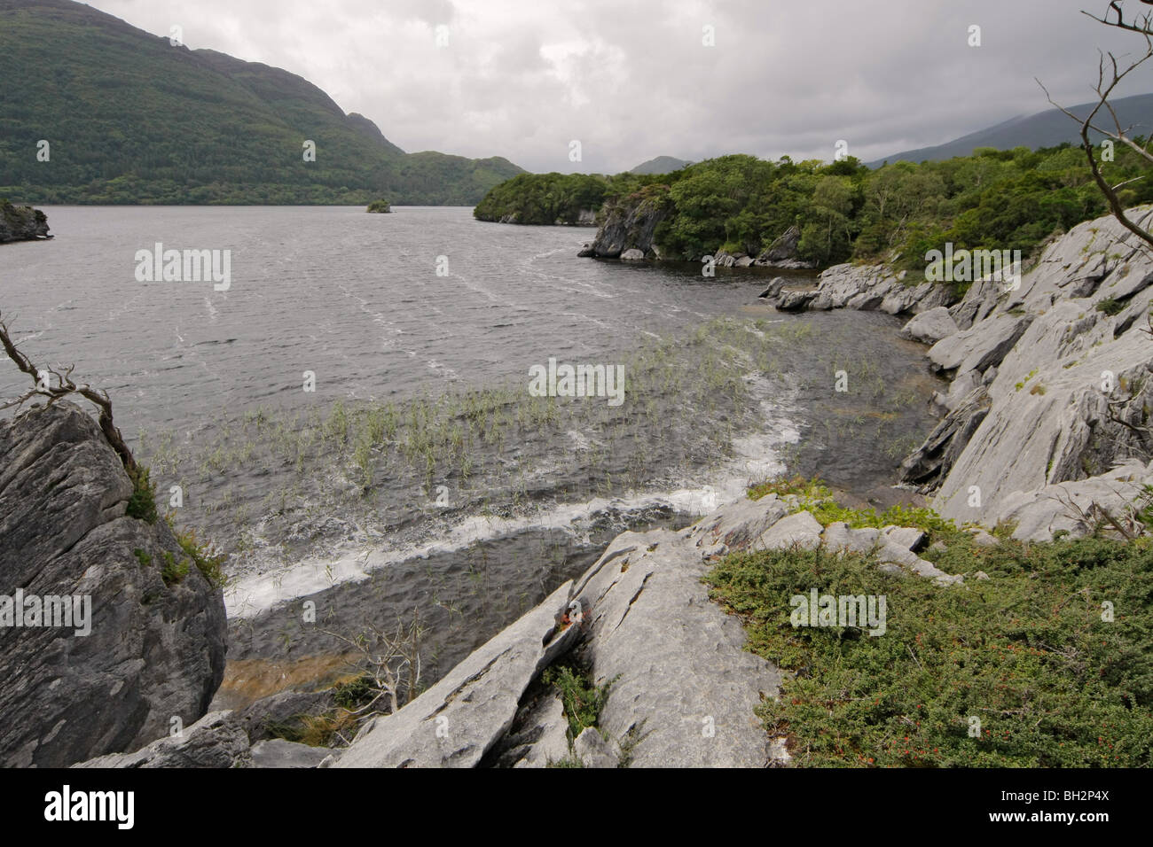 Leane hi-res stock photography and images - Alamy