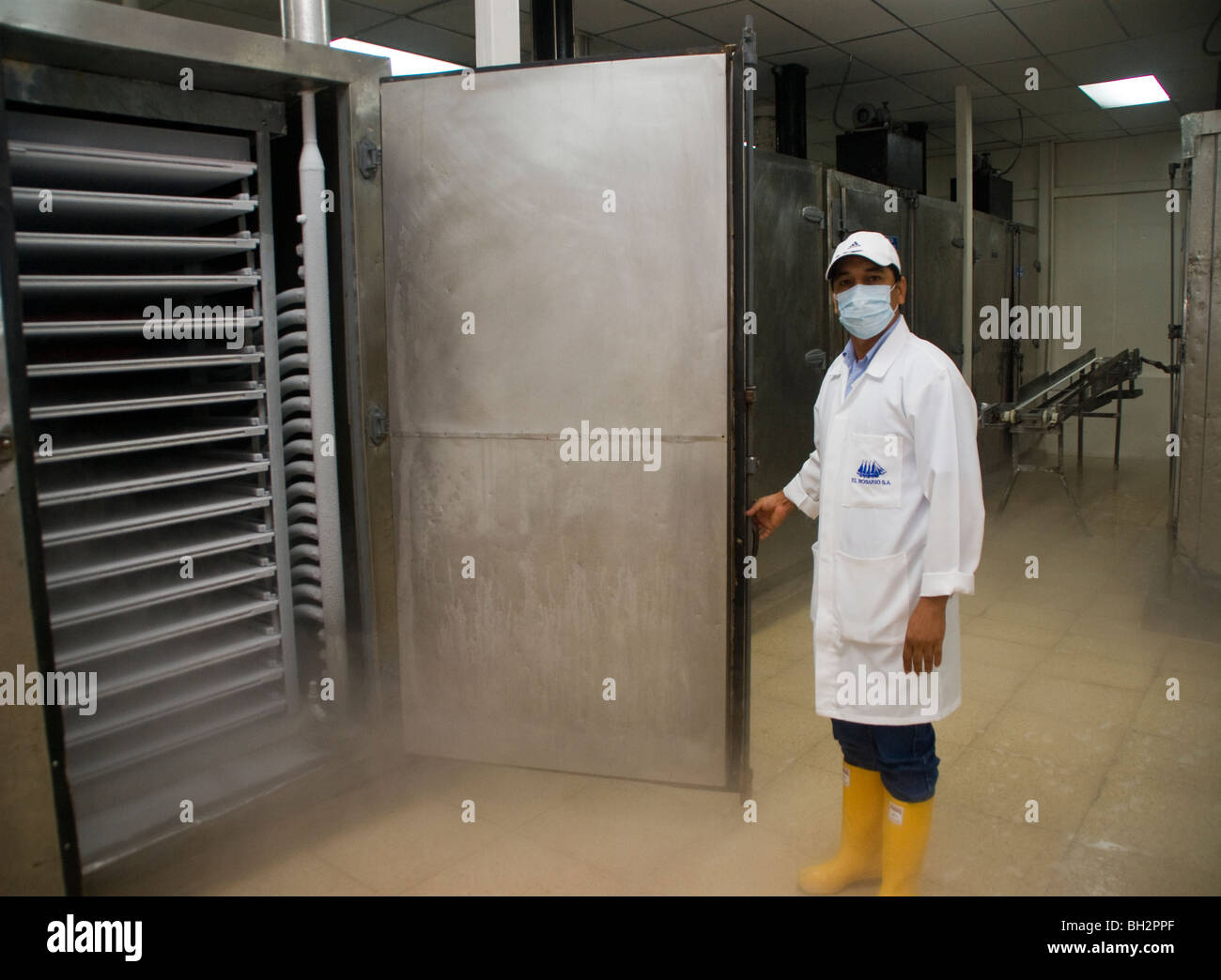 Shrimp farming ecuador hi-res stock photography and images - Alamy
