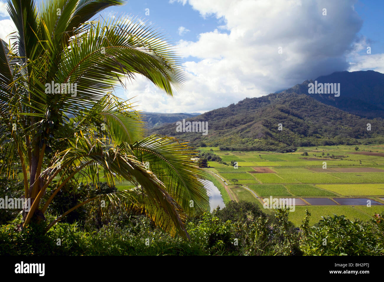 Taro river hi-res stock photography and images - Alamy