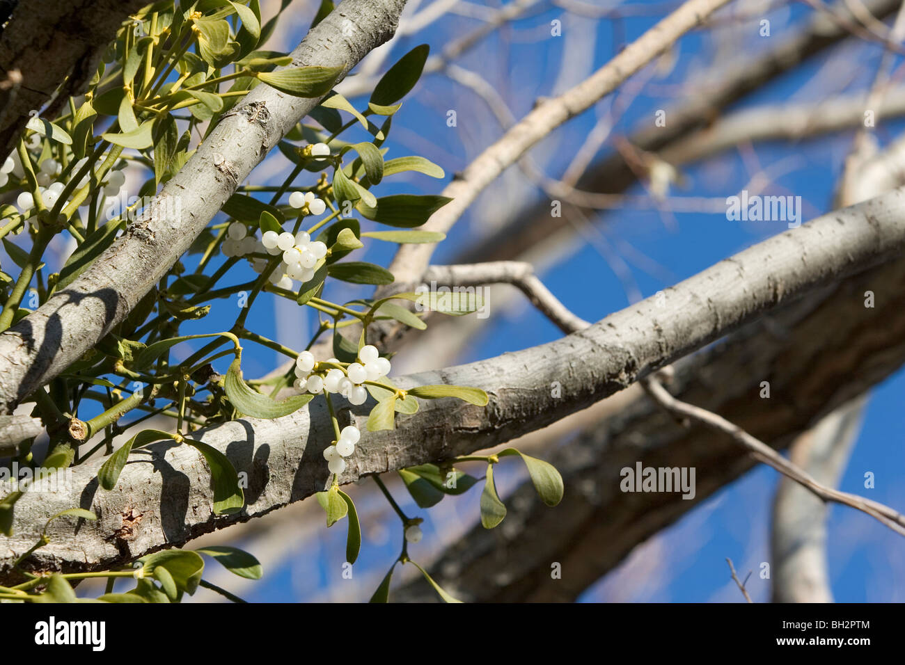 Viscom hi-res stock photography and images - Alamy