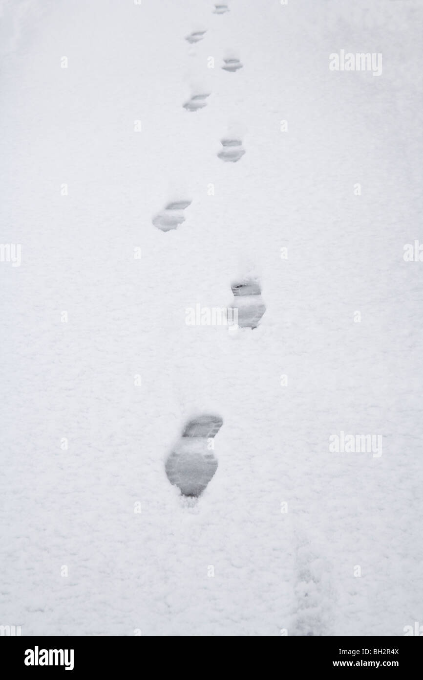 UK January row of footprints on a snow covered pavement Stock Photo - Alamy