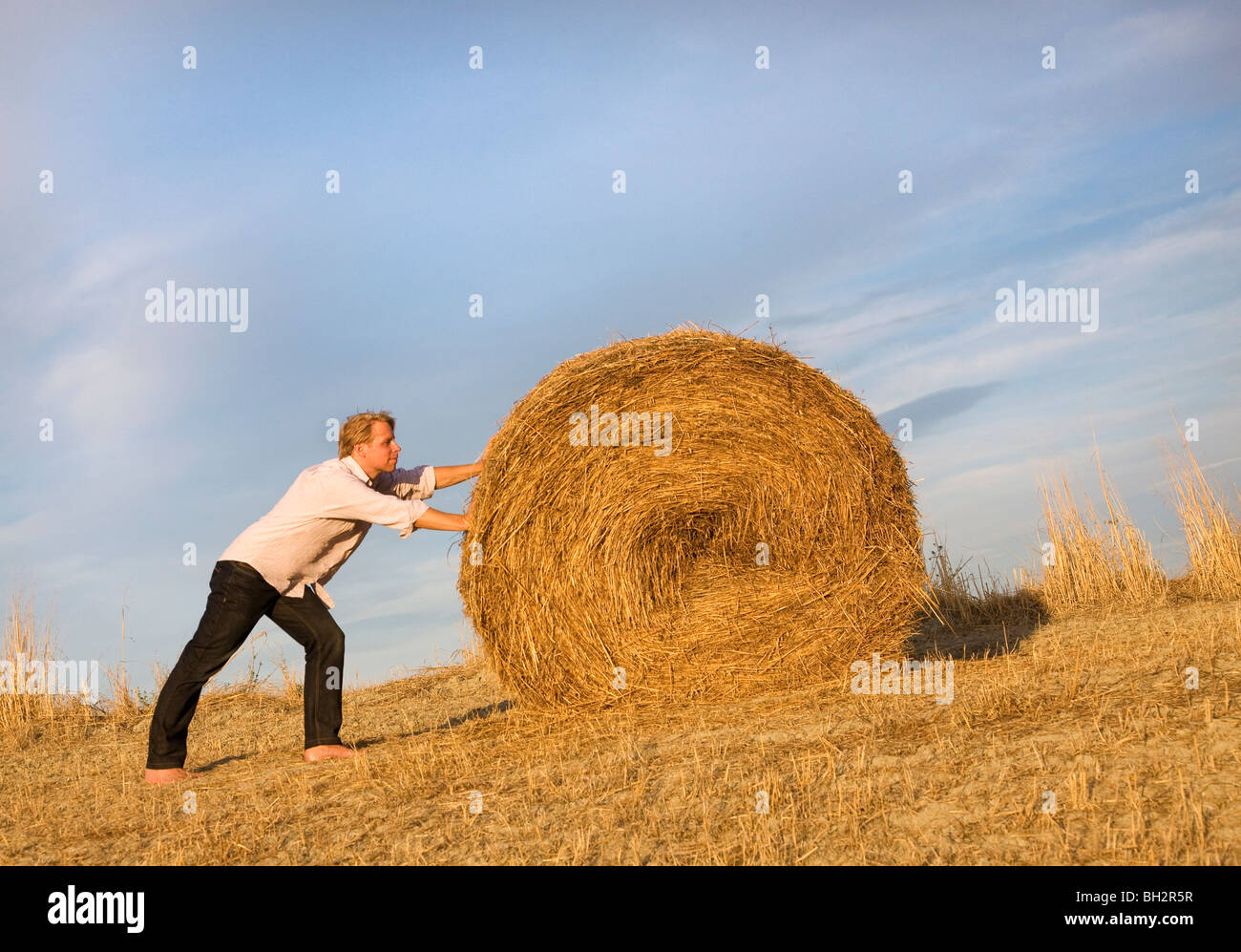 man pushing hay bale Stock Photo - Alamy