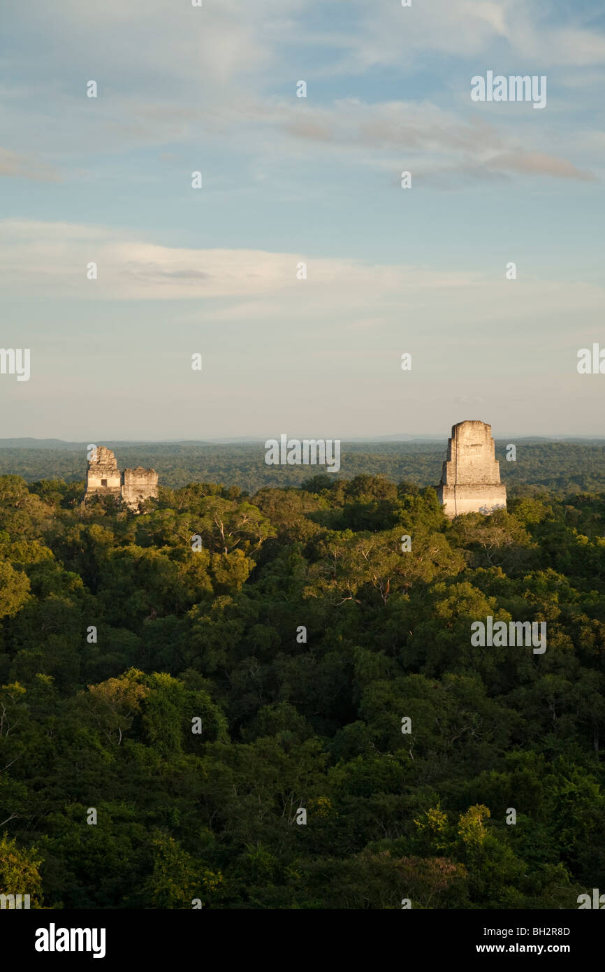 Tikal guatemala forest temple maya mayan temple hi-res stock ...