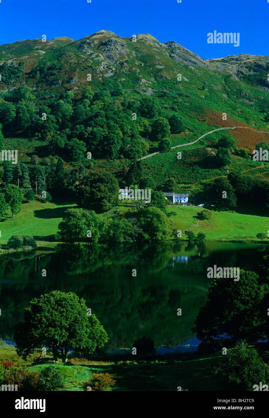 A view of Loughrigg Tarn and Loughrigg Fell near Ambleside in the Lake ...
