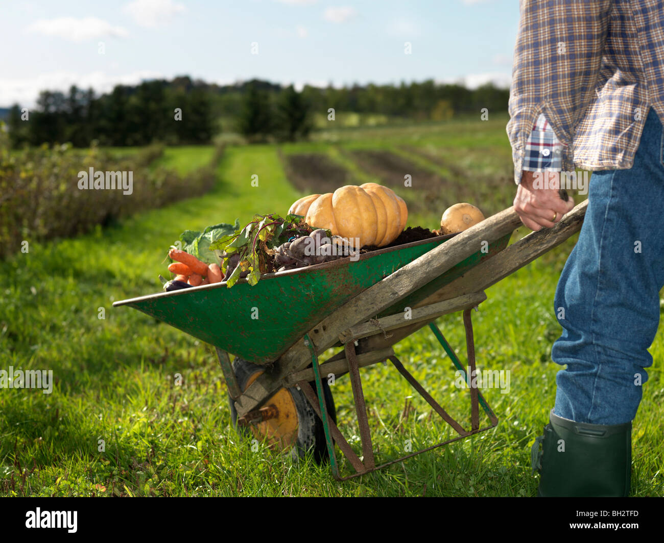 Man with wheelbarrow Stock Photo - Alamy