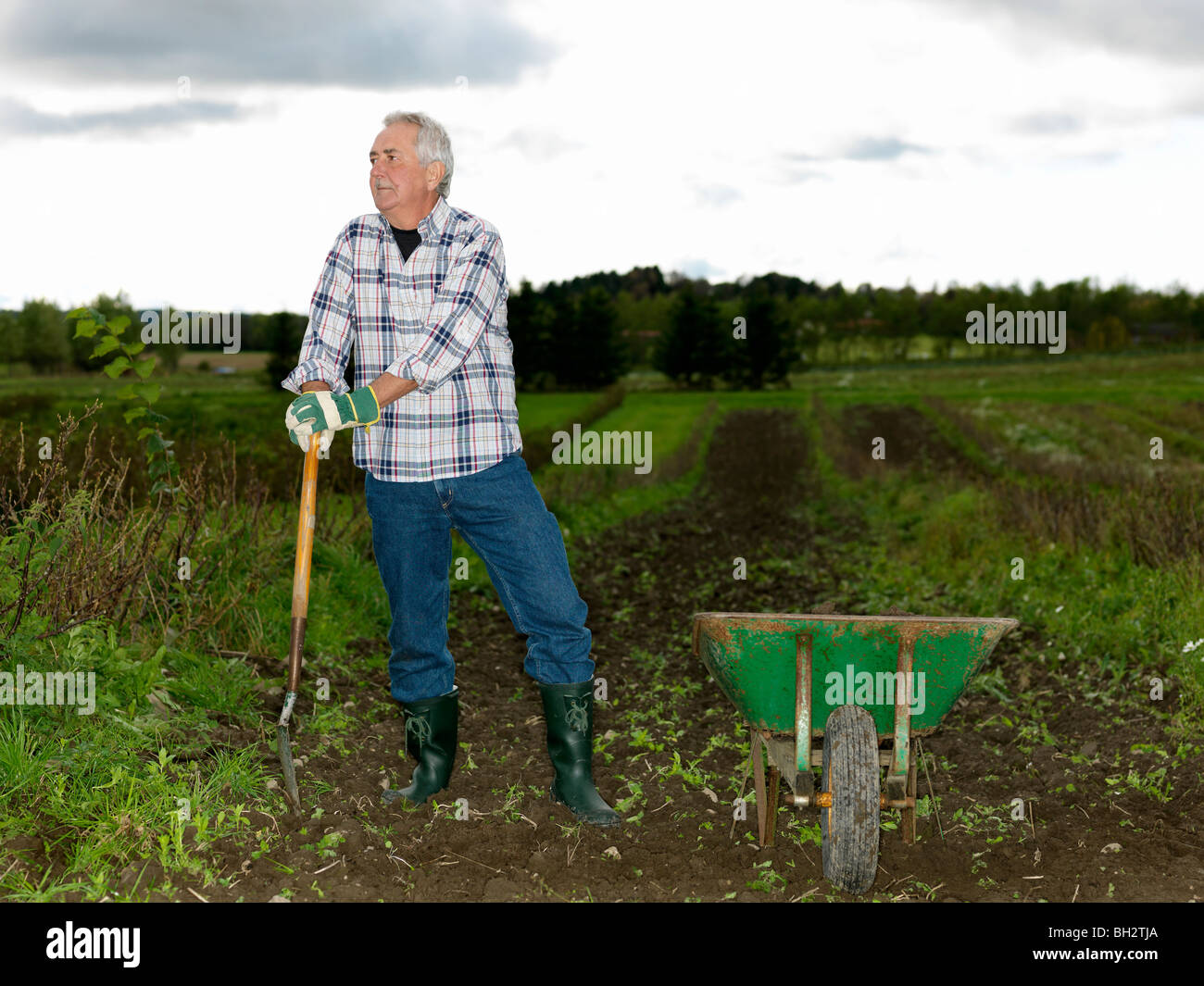 Mature farmer shovel standing hi-res stock photography and images - Alamy