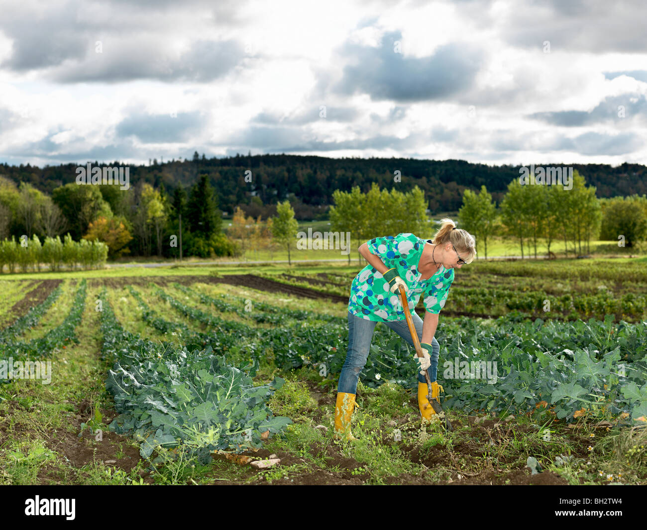 Woman did digging garden hi-res stock photography and images - Alamy