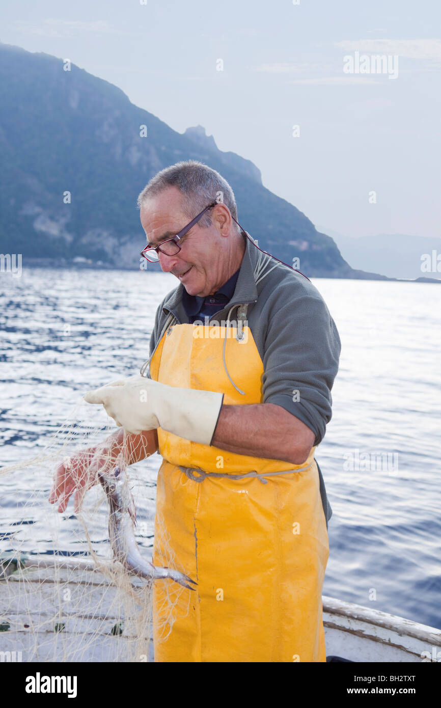 fisherman on boat, fish in netting Stock Photo - Alamy