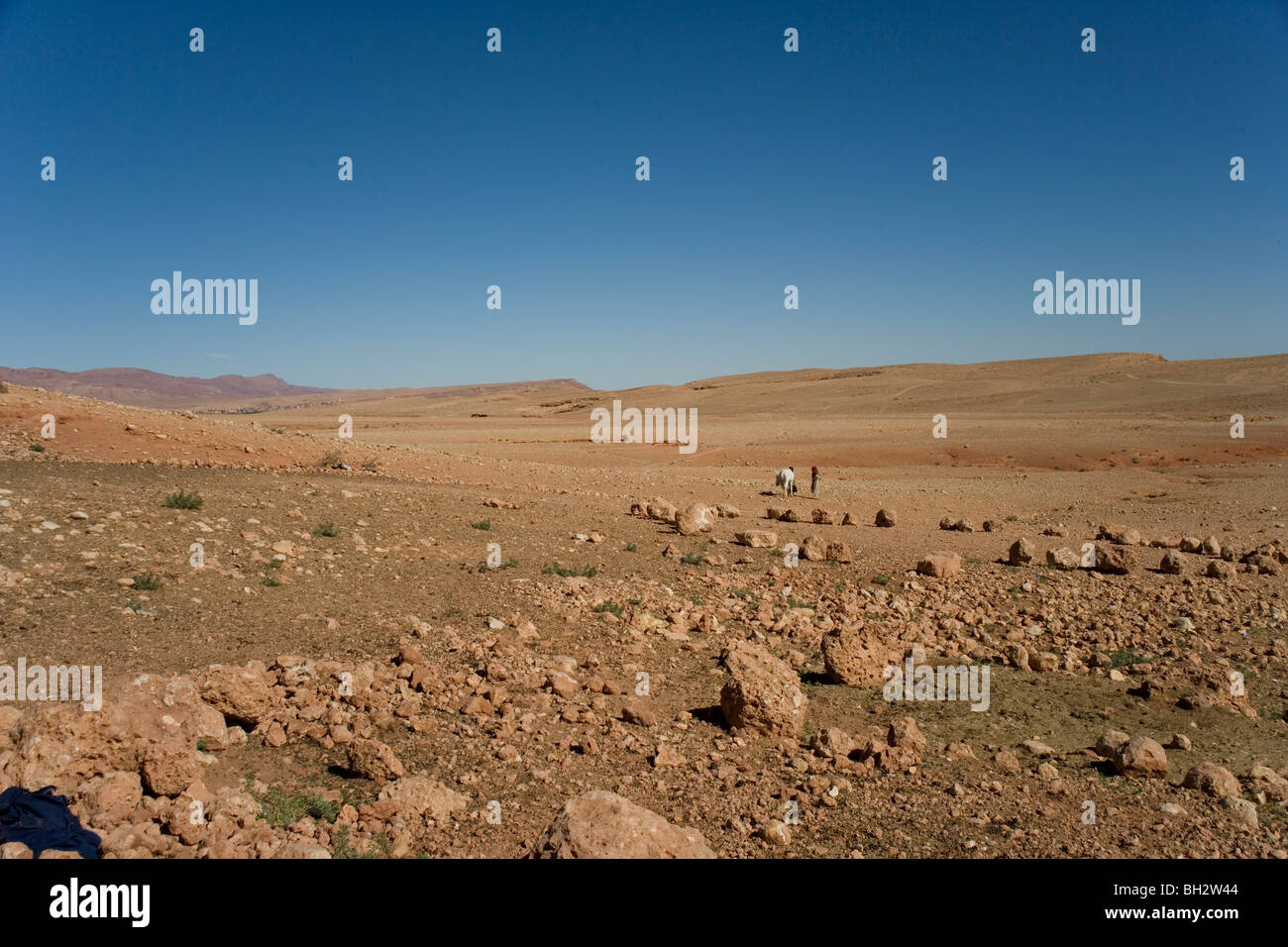 a family of Nomadic Arabs with their on an escarpment heading to ...