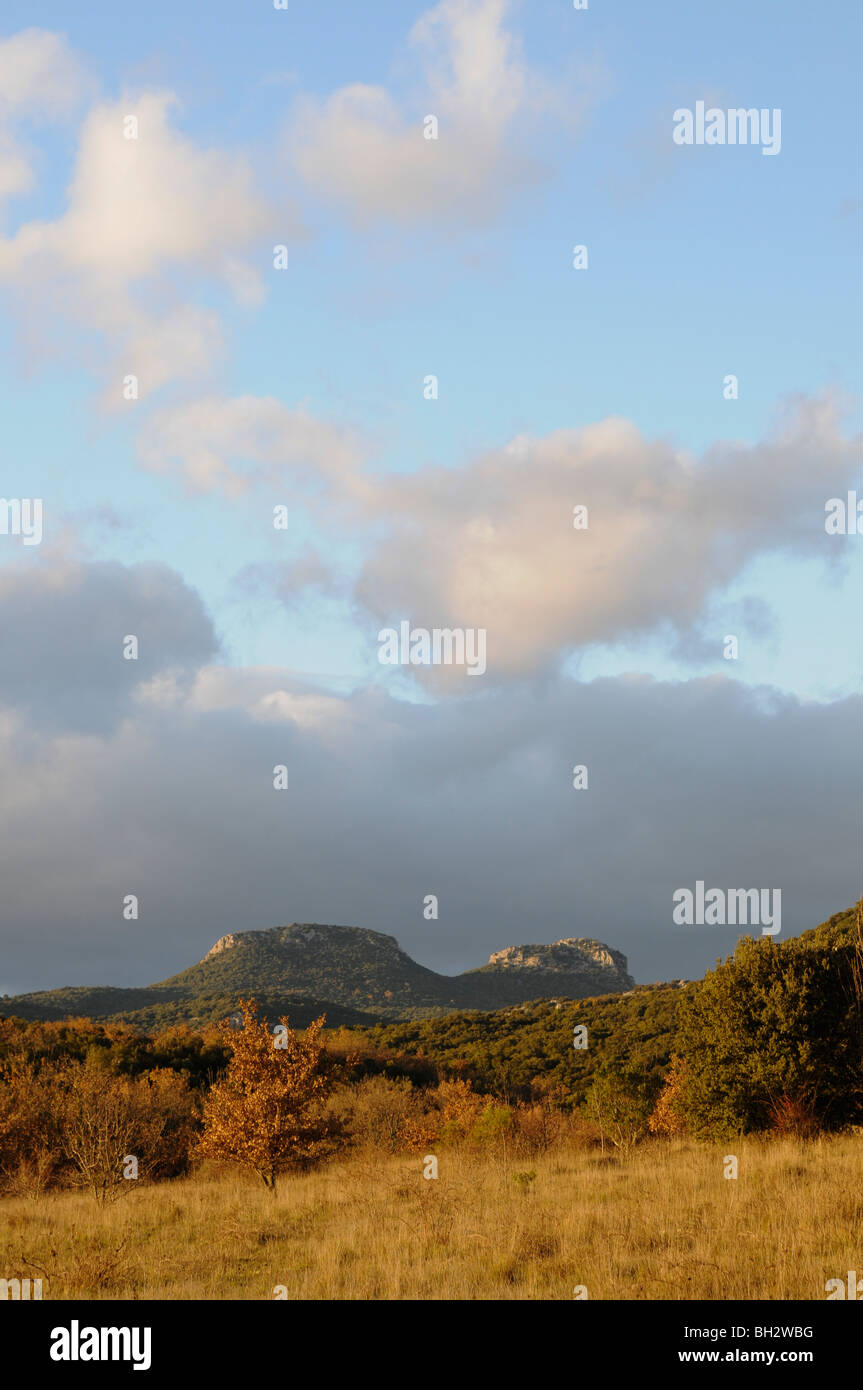 Landscape with the mountain Saint Chamand seen from near Sauve, Gard ...