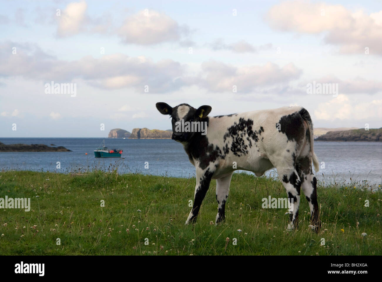 Talmine Beach High Resolution Stock Photography and Images - Alamy