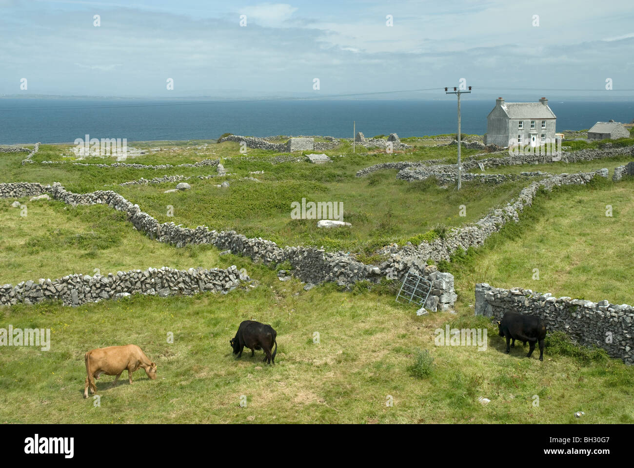 Farm inis mor hi-res stock photography and images - Alamy