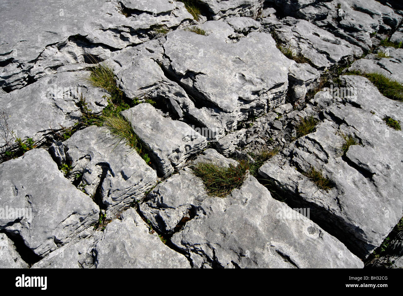 Limestone pavement on the Burren, County Clare, Eire Stock Photo - Alamy