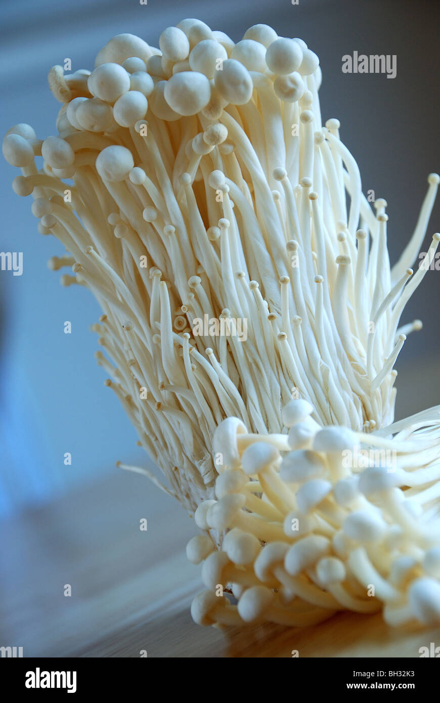 White Enoki Mushrooms High Resolution Stock Photography and Images - Alamy