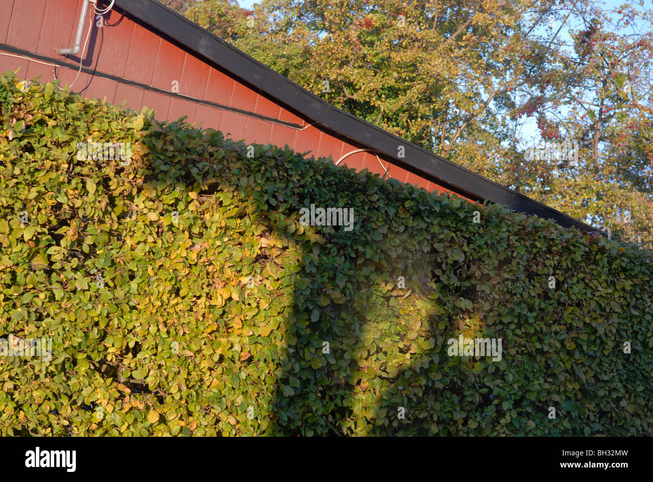 PERSON INSIDE HOUSE Stock Photo - Alamy