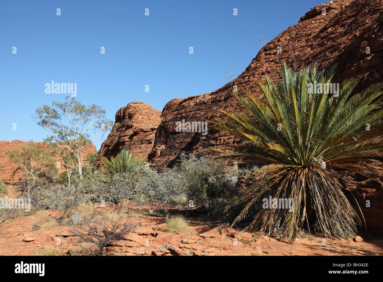 Northern territory nt hi-res stock photography and images - Alamy