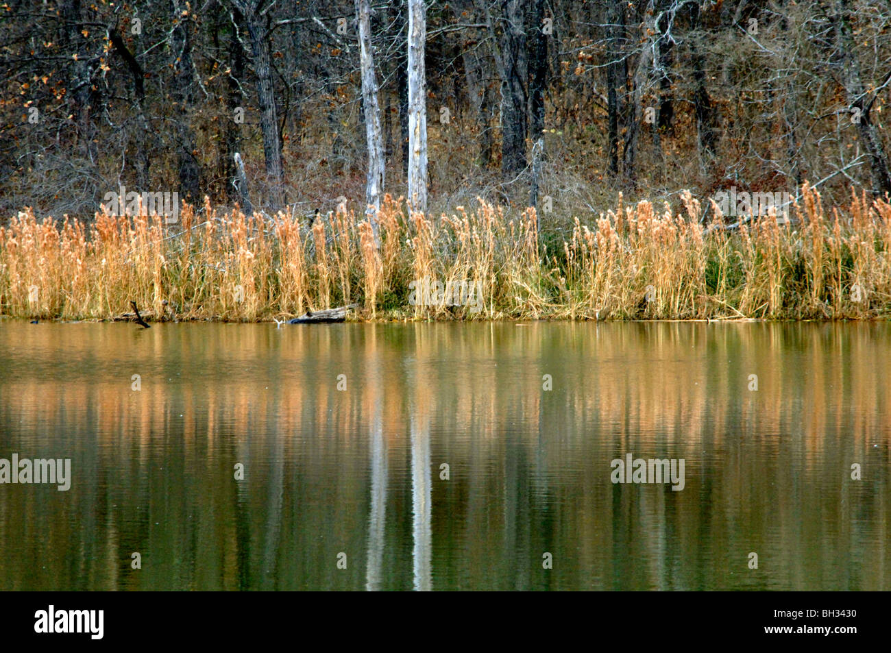 Detail shots of natural beauty, reflections and mother nature's ...