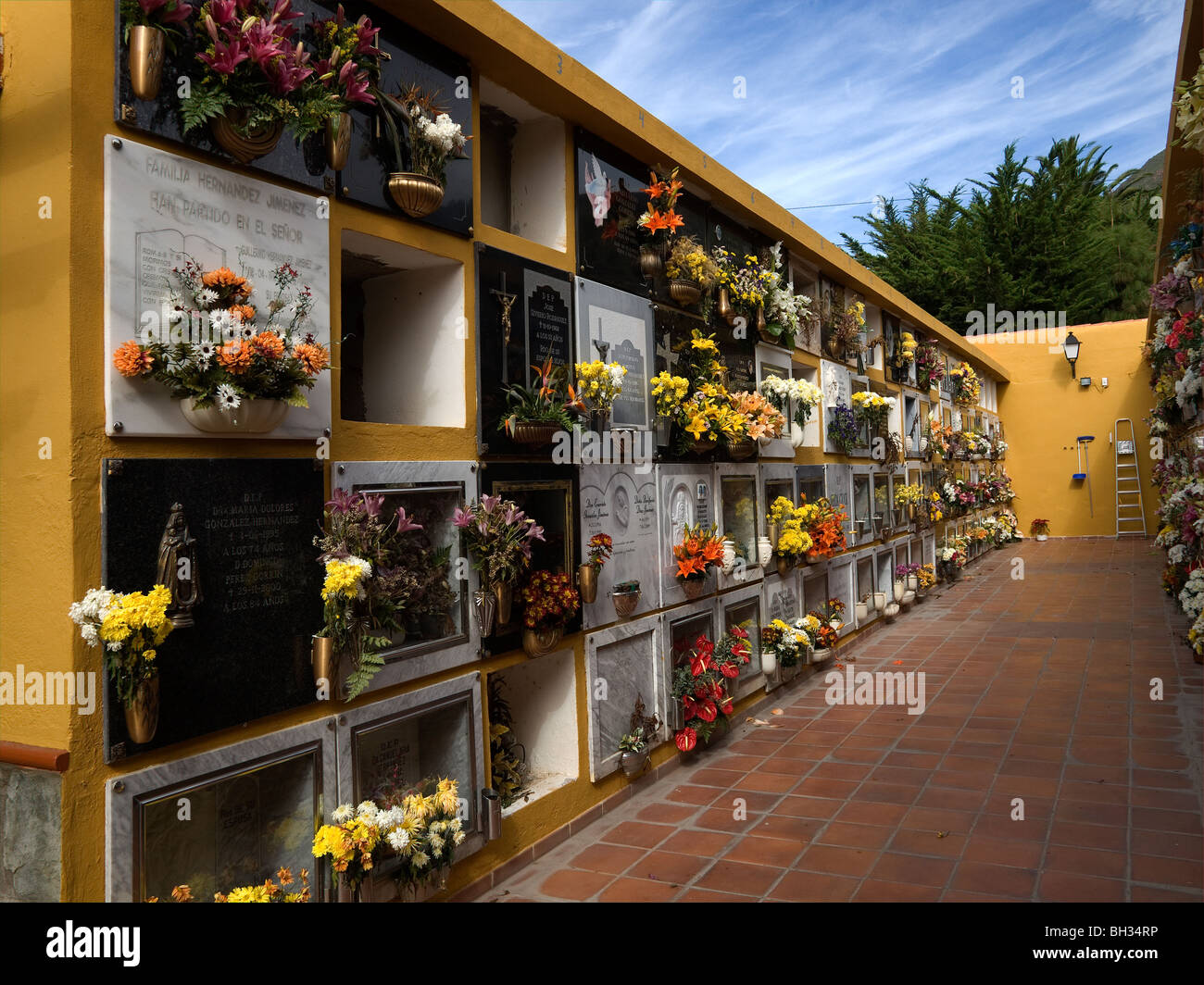 An historic cemetery at Tamaimo Tenerife Canary Islands Stock Photo - Alamy
