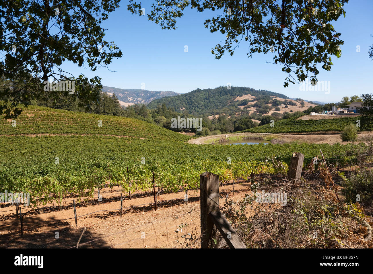 Wine Country, Nappa Valley in California, USA Stock Photo - Alamy