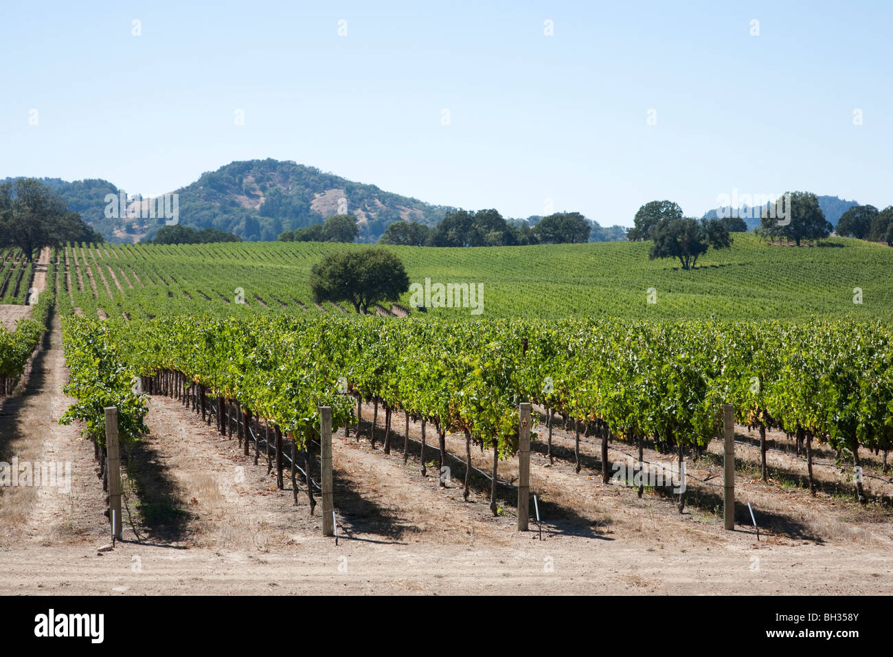 Nappa valley hi-res stock photography and images - Alamy