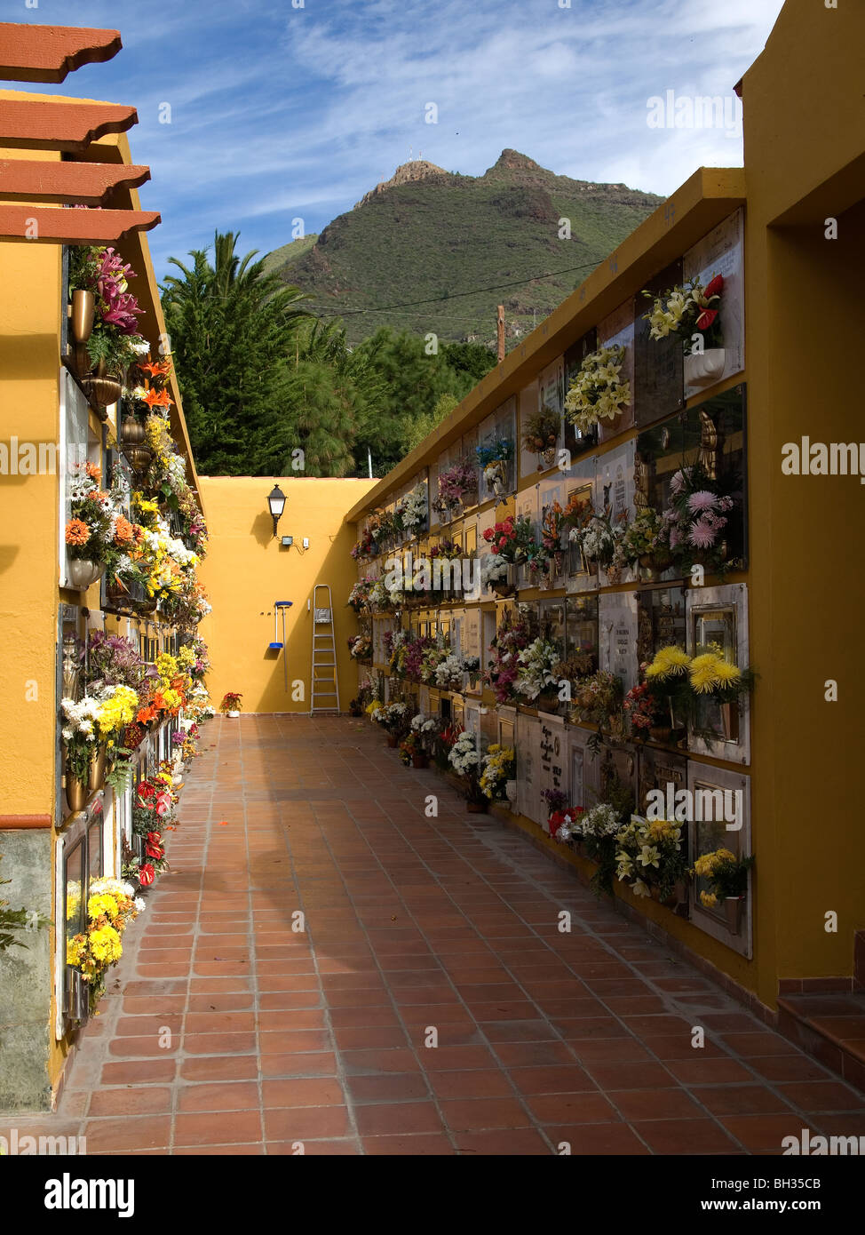 An historic cemetery at Tamaimo Tenerife Canary Islands Stock Photo - Alamy