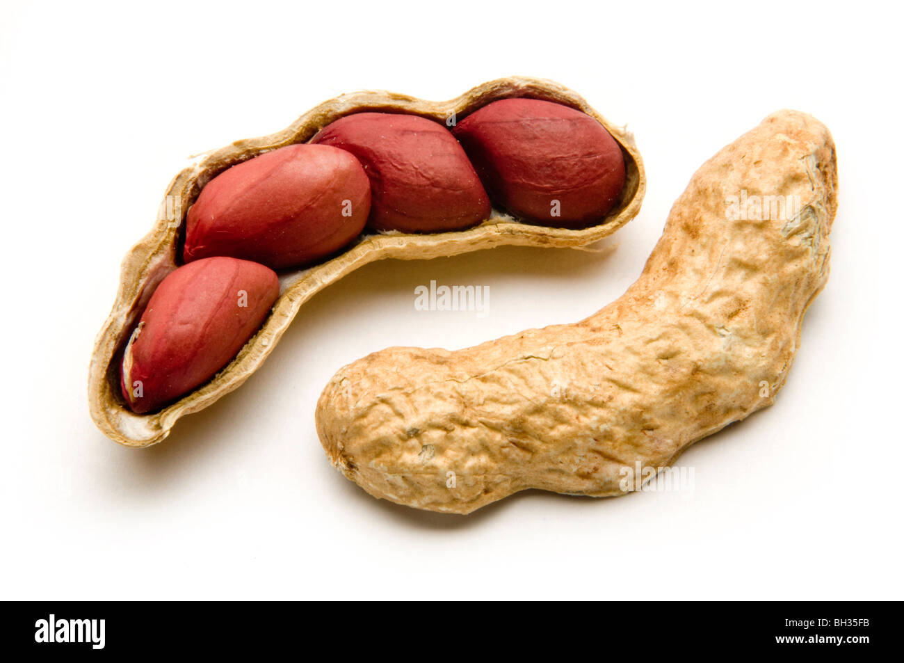 peanuts in open shell Stock Photo - Alamy