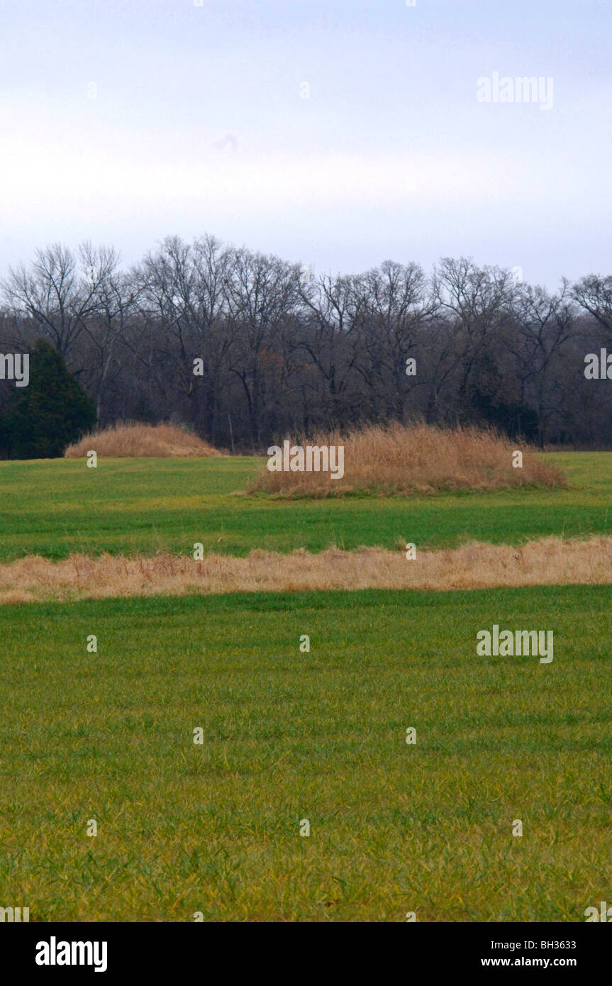 Recreation plot in winter hi-res stock photography and images - Alamy