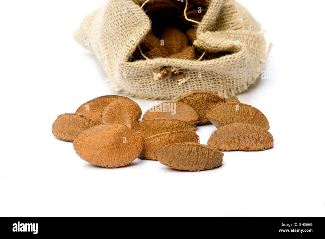 Brazil where the nuts come from hi-res stock photography and images - Alamy