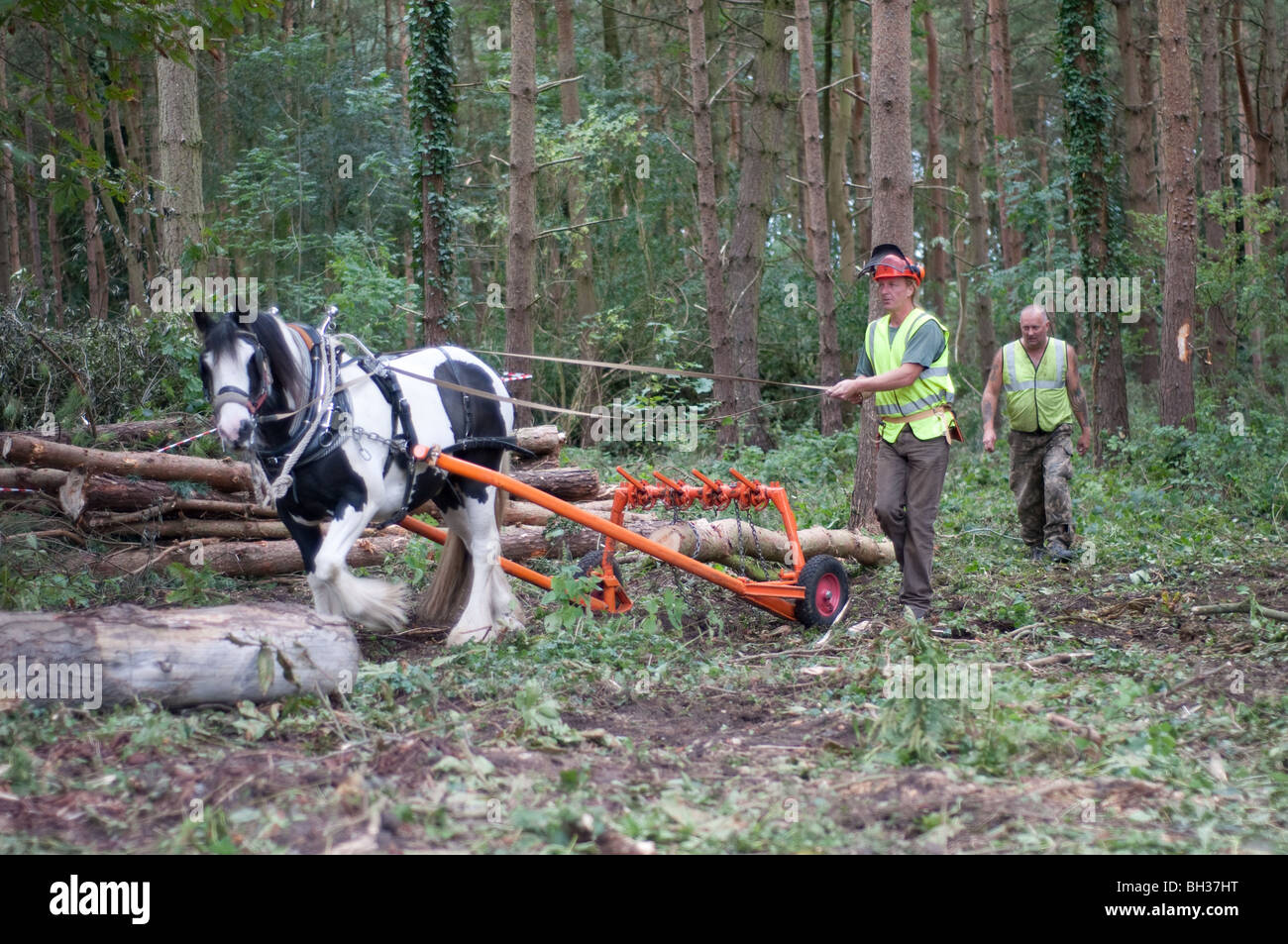 Timber extraction hi-res stock photography and images - Alamy