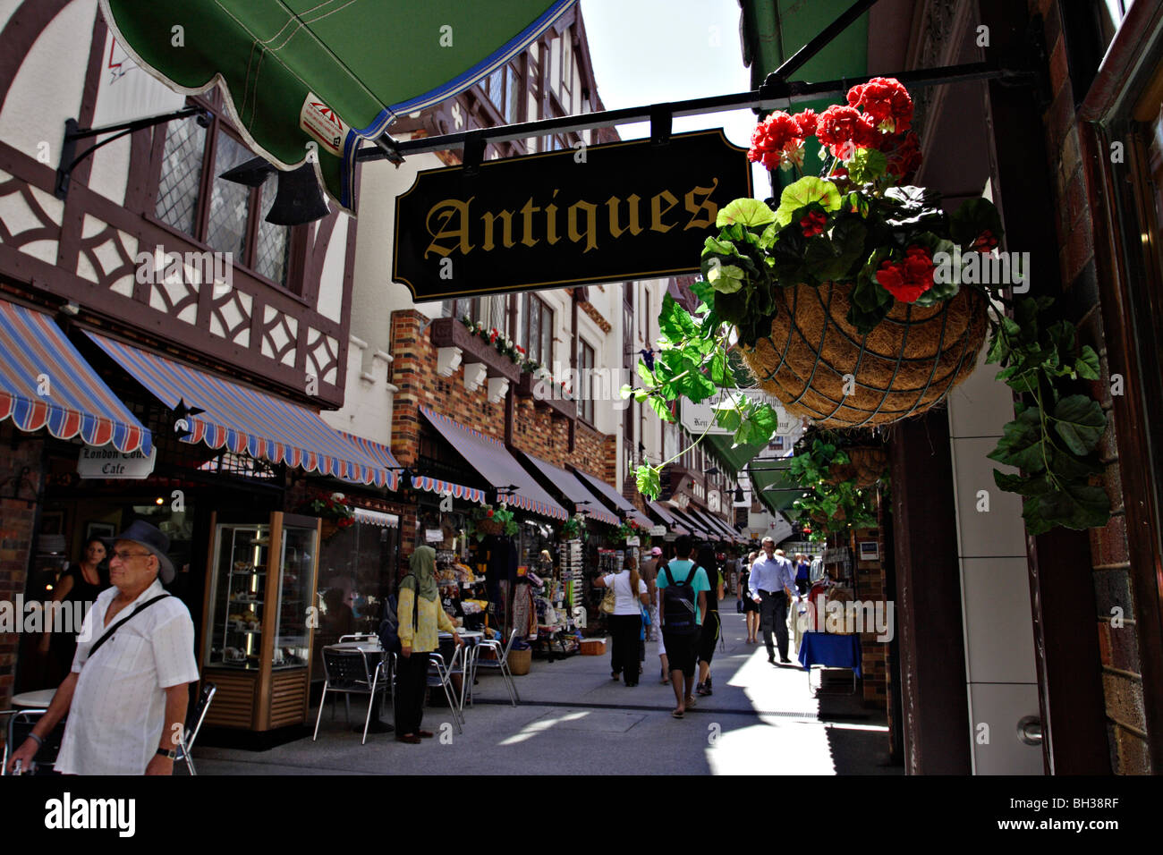 Australia nation flower hi-res stock photography and images - Alamy