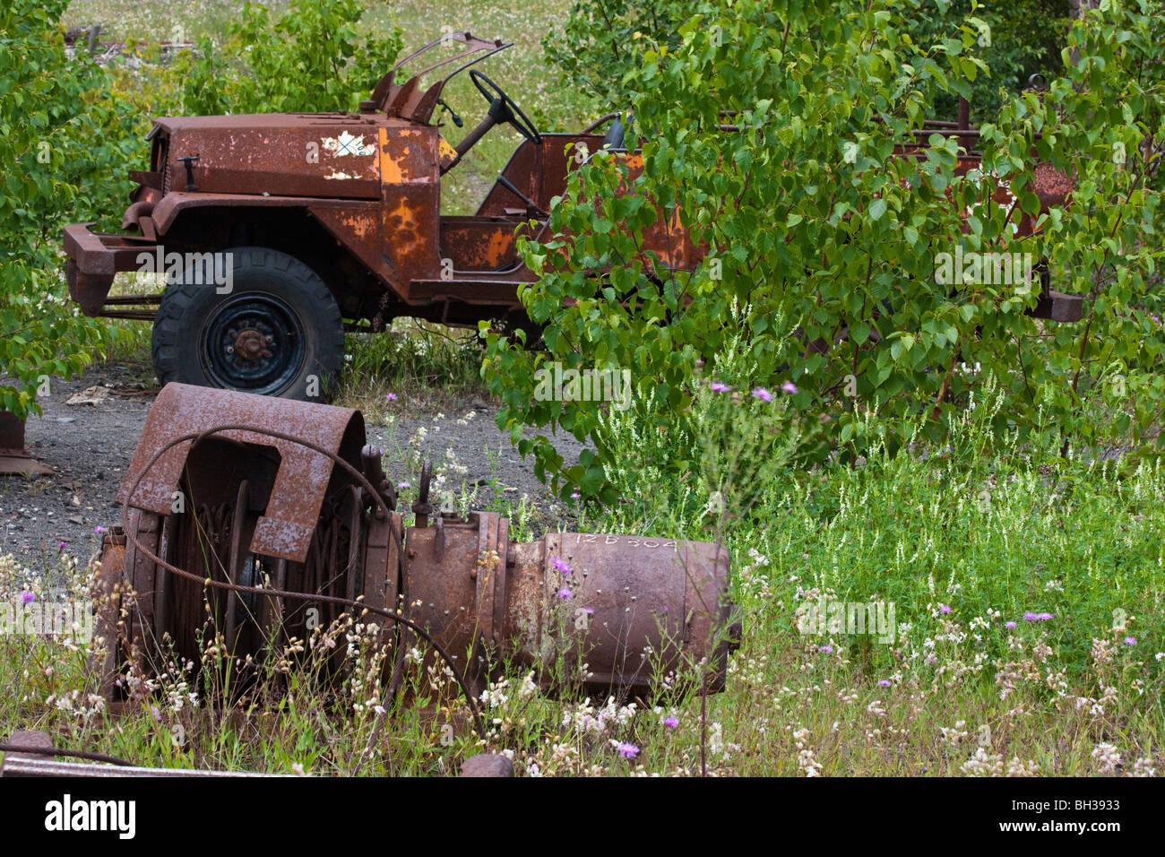 Natural history of machines hi-res stock photography and images - Alamy