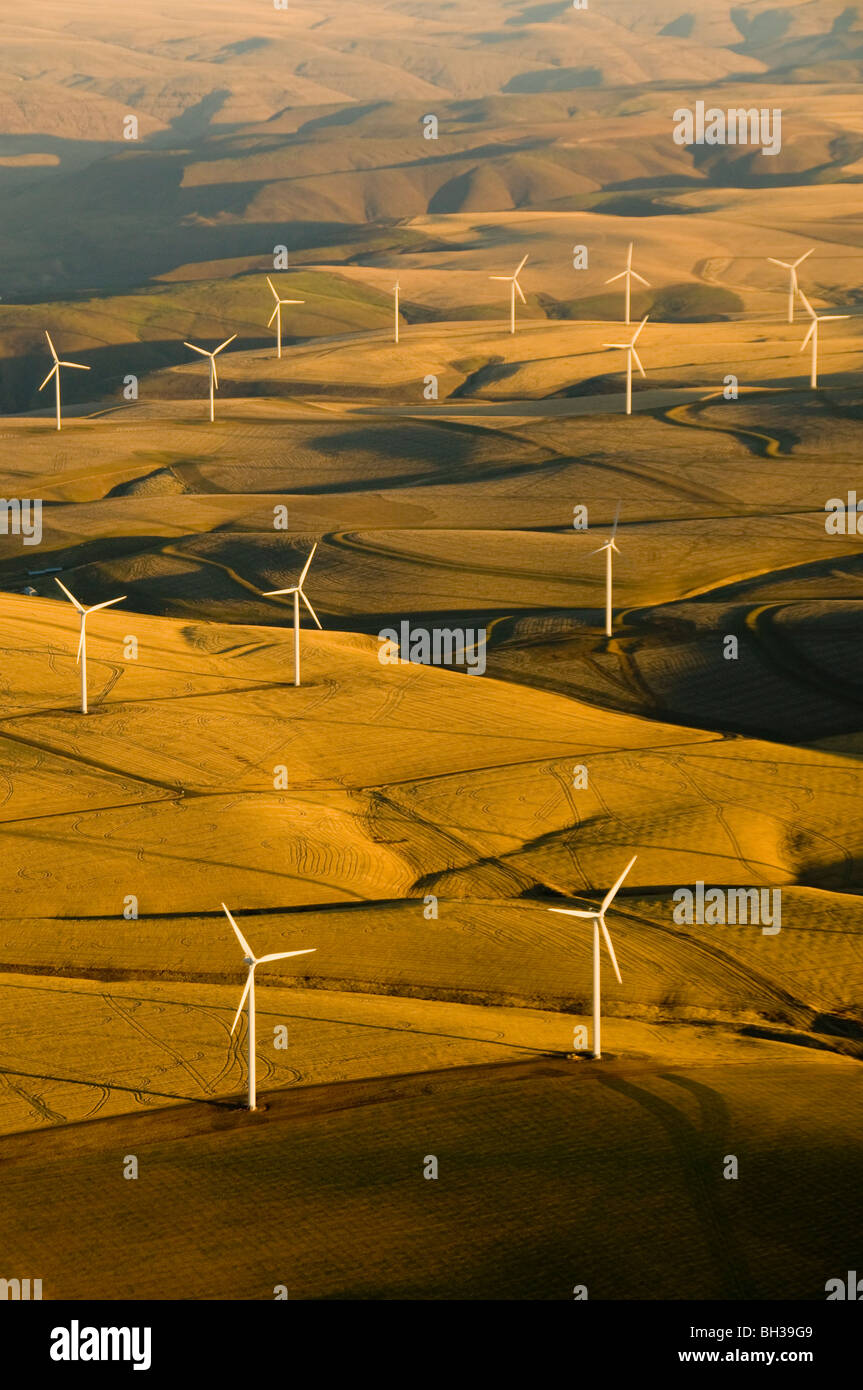 Aerial View of Klondike Wind Farm, Oregon Photo by Bruce Forster Stock ...