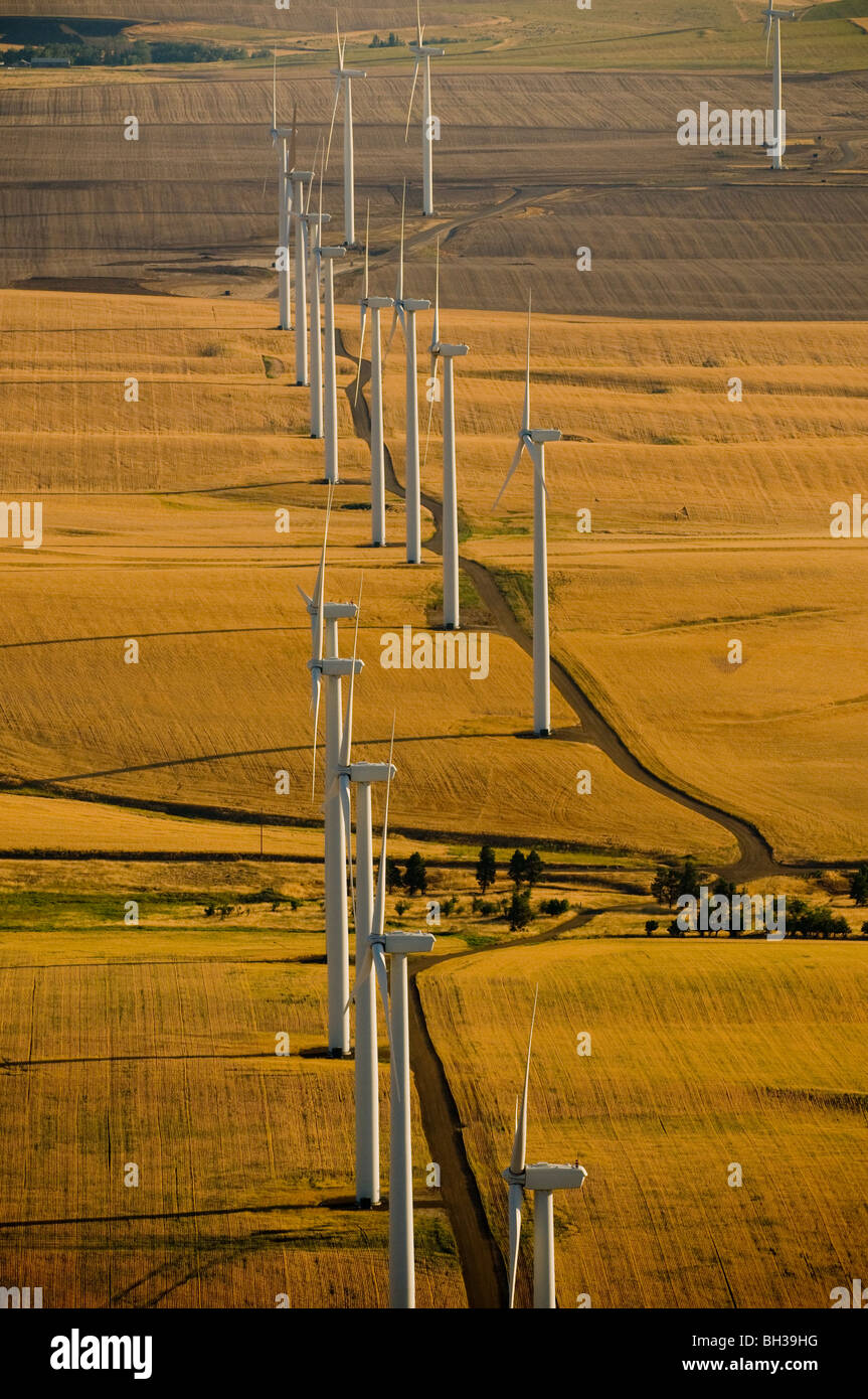 Aerial View of Klondike/Biglow Canyon Wind Farm Owned by Portland ...