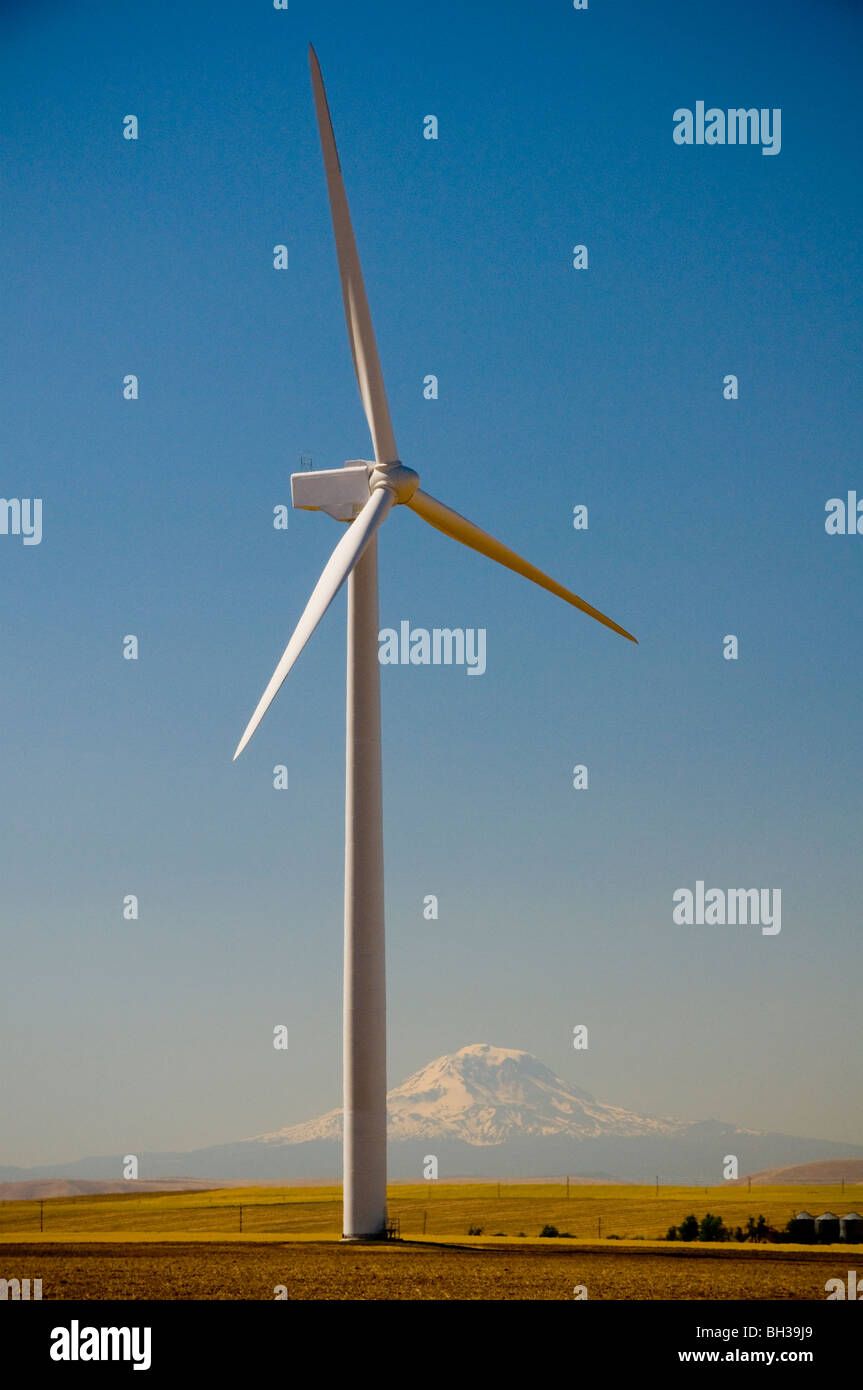 Klondike Wind Farm, Oregon Photo by Bruce Forster Stock Photo - Alamy