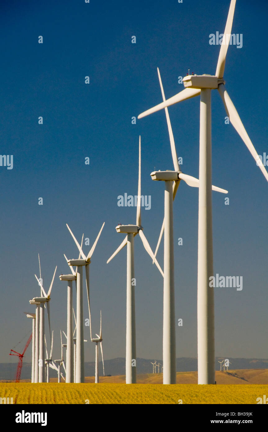 Klondike Wind Farm, Oregon Photo by Bruce Forster Stock Photo - Alamy