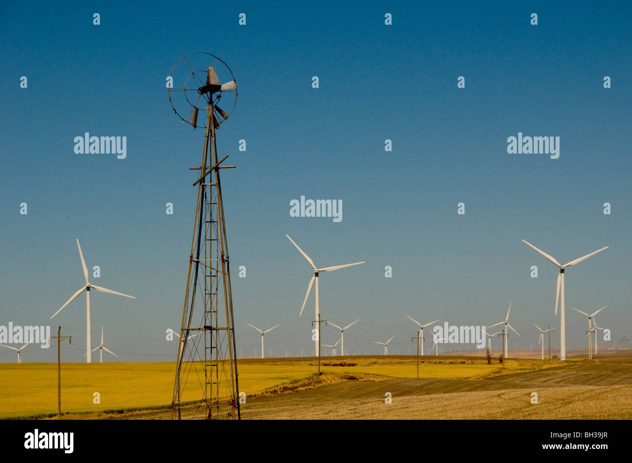 Klondike Wind Farm, Oregon Photo by Bruce Forster Stock Photo - Alamy