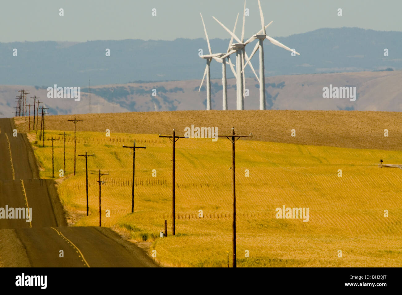 Klondike Wind Farm, Oregon Photo by Bruce Forster Stock Photo - Alamy