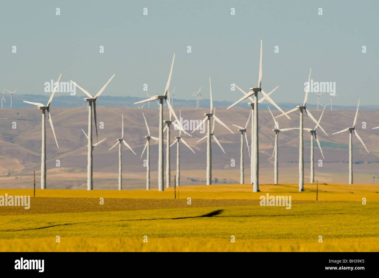 Klondike Wind Farm, Oregon Photo by Bruce Forster Stock Photo - Alamy