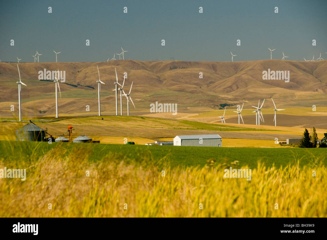 Klondike Wind Farm, Oregon Photo by Bruce Forster Stock Photo - Alamy