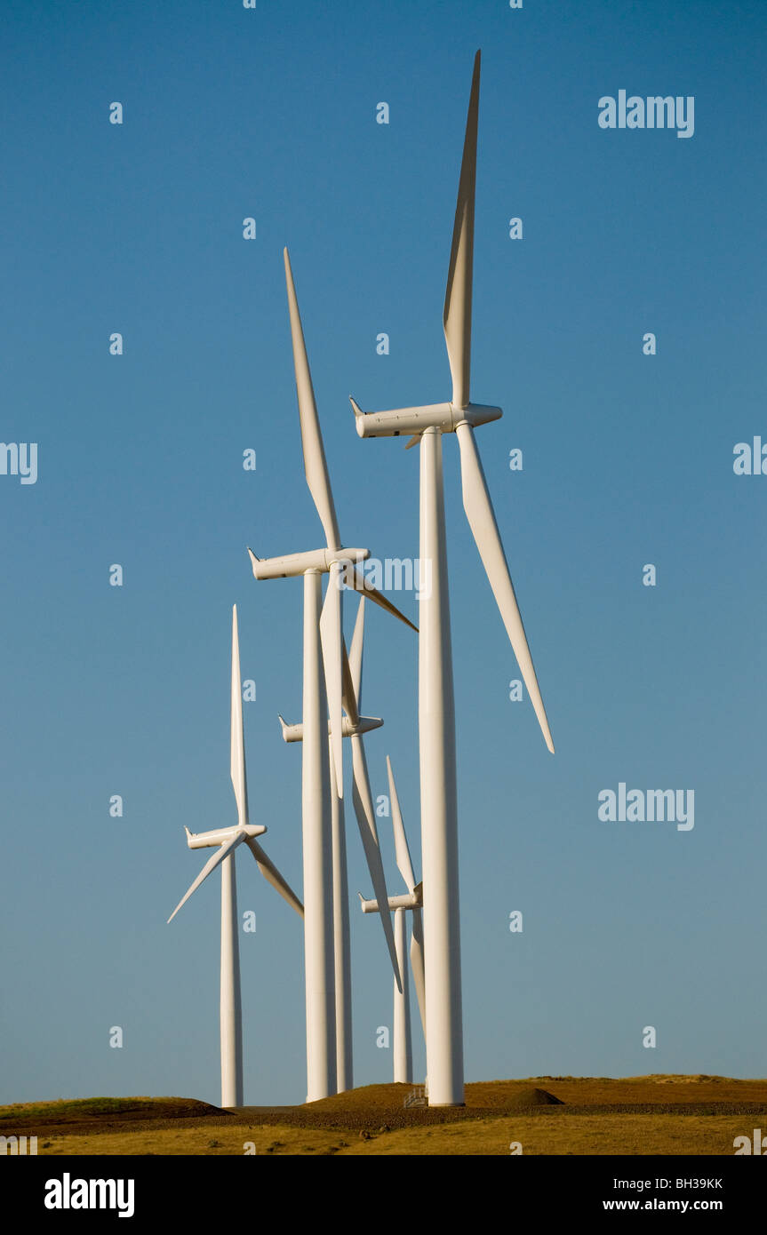 Windy Flats Wind Farm Photo by Bruce Forster 2009 Stock Photo - Alamy