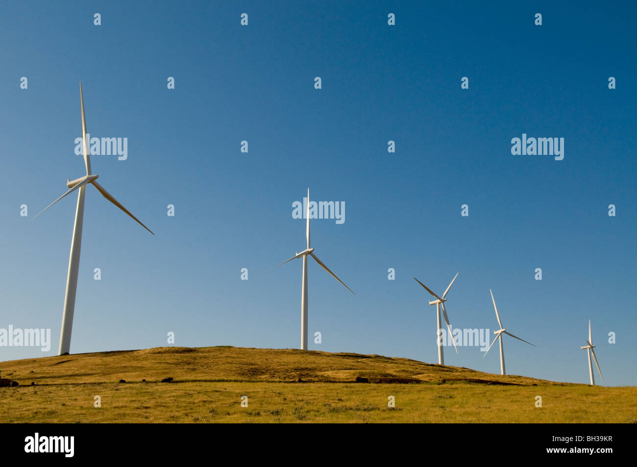 Windy Flats Wind Farm Photo by Bruce Forster 2009 Stock Photo - Alamy
