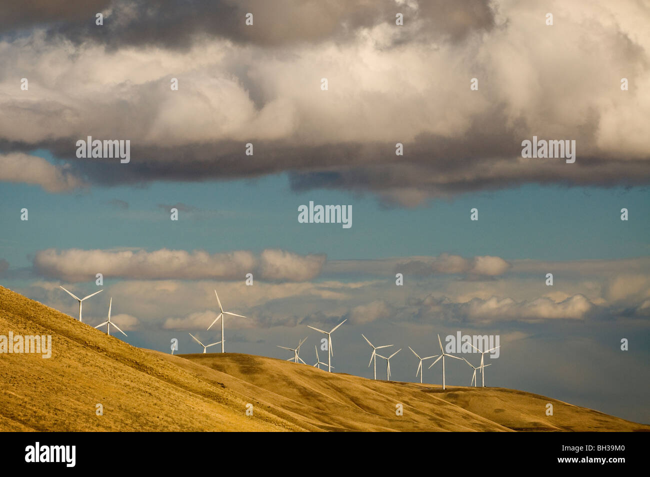 Goodnoe Hills Wind Farm Washington Photo by Bruce Forster Stock Photo ...