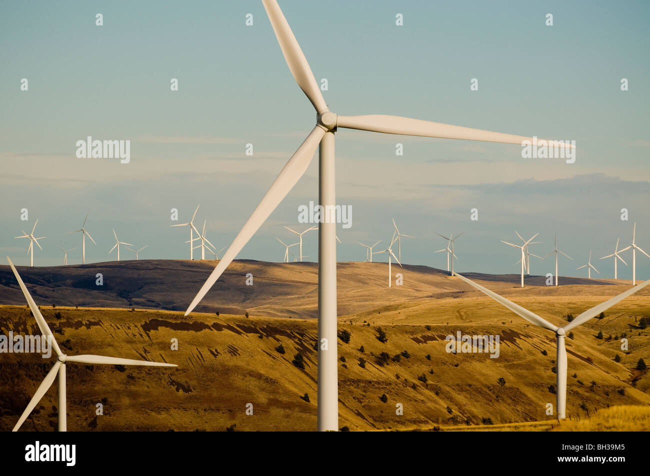 Goodnoe Hills Wind Farm Washington Photo by Bruce Forster Stock Photo ...