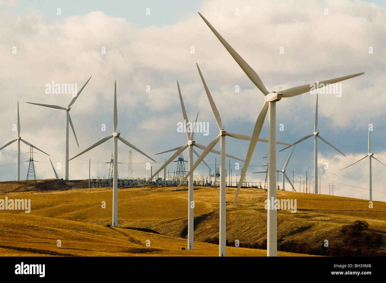 Goodnoe Hills Wind Farm Washington Photo by Bruce Forster Stock Photo ...
