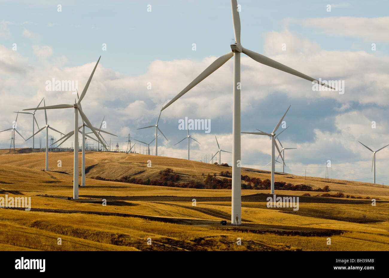 Goodnoe Hills Wind Farm Washington Photo by Bruce Forster Stock Photo ...