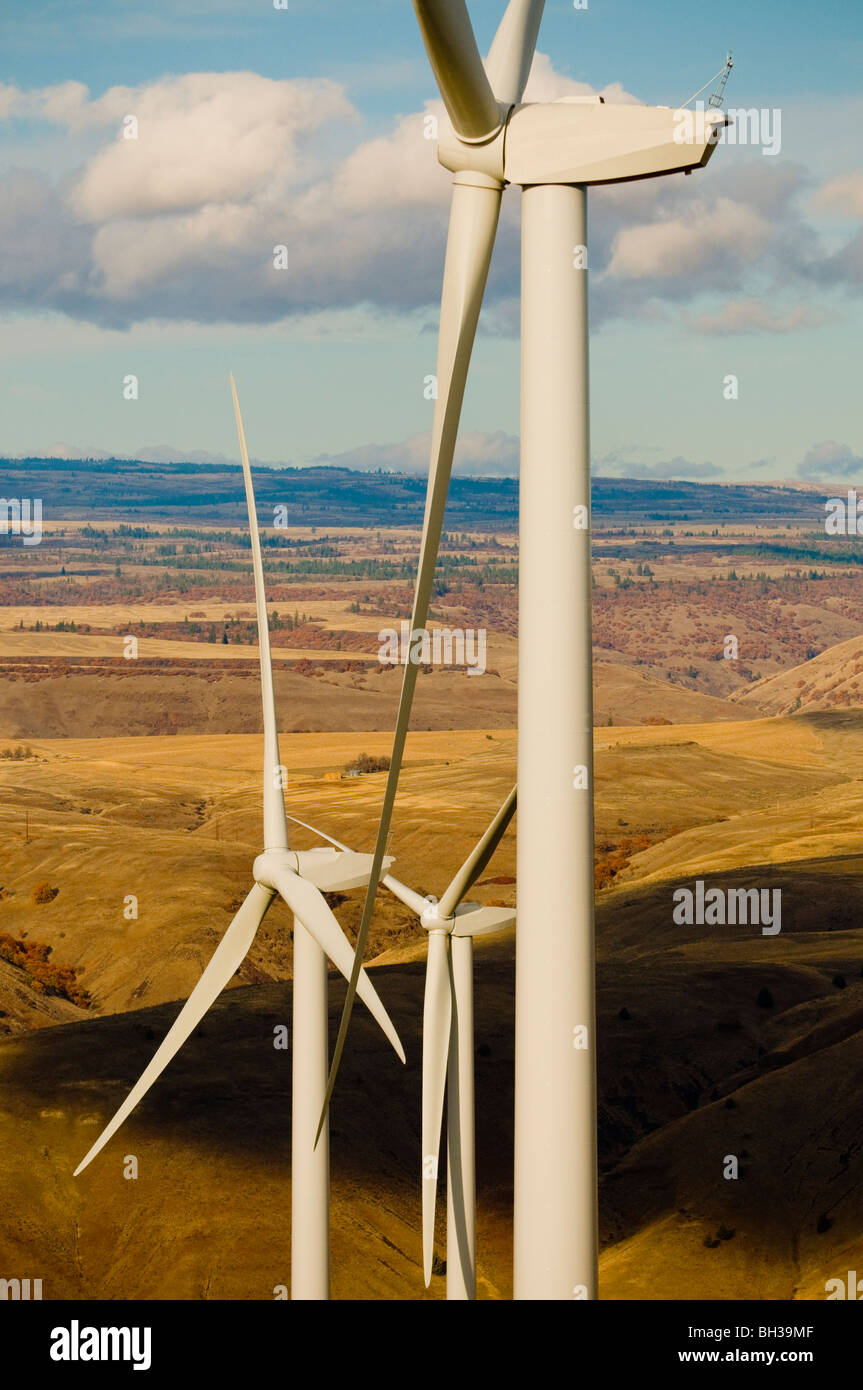 Goodnoe Hills Wind Farm Washington Photo by Bruce Forster Stock Photo ...