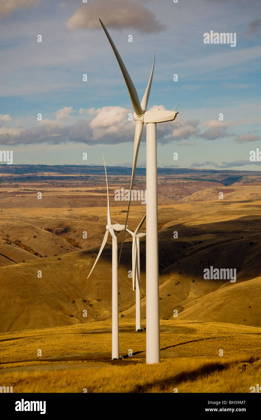 Goodnoe Hills Wind Farm Washington Photo by Bruce Forster Stock Photo ...